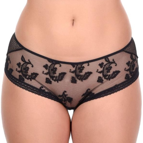 Passionata Intimates And Sleepwear Rare Nwt Passionata Fall In Love Sheer Hipster Panties